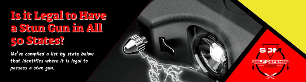 Stun Master 110 Million Volt Stun Gun | Self Defense Mall