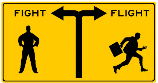 The Psychology of Self-Defense: Understanding the Fight